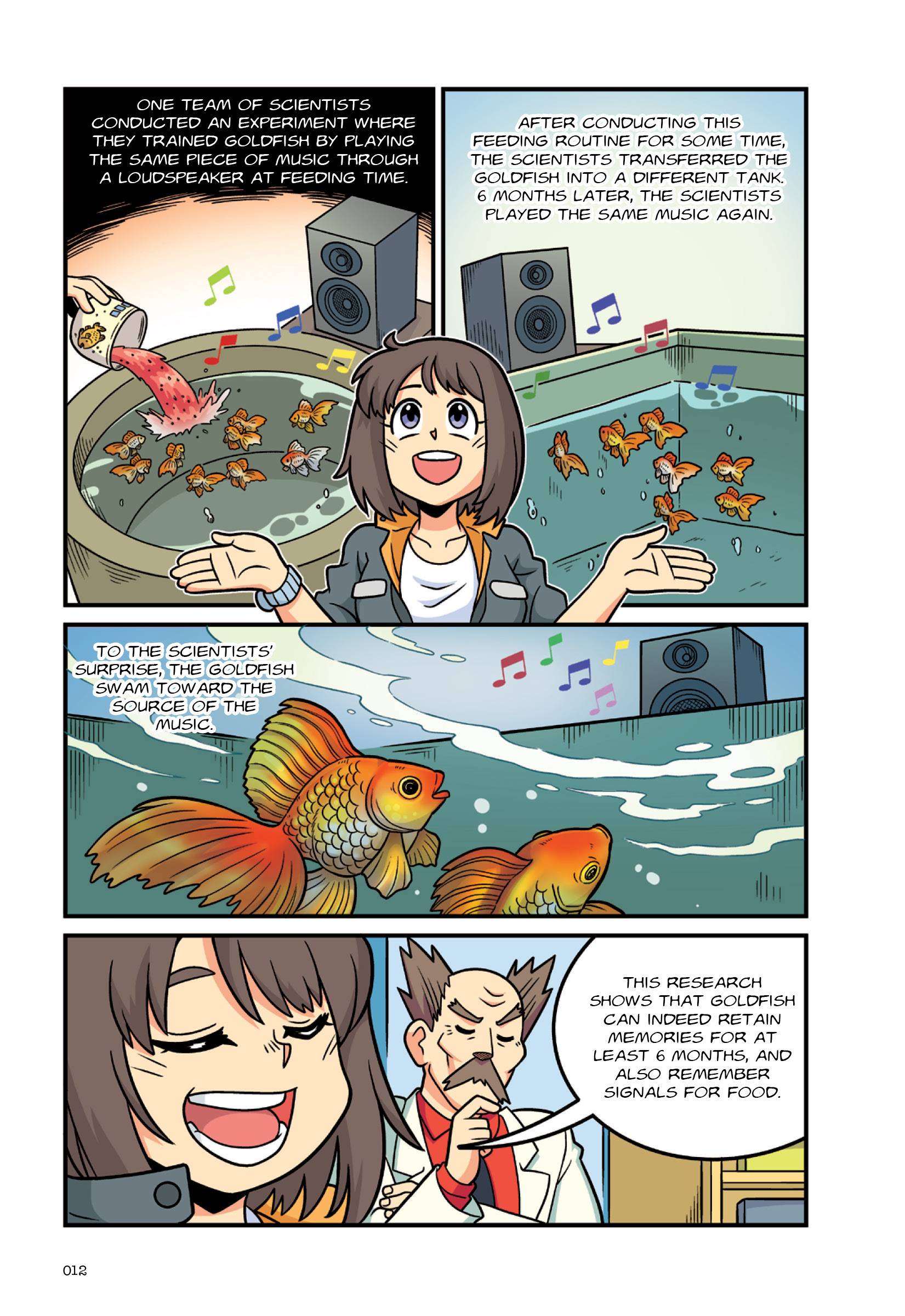 X-VENTURE Primal Power Series: Special Edition: Body In Peril: The Battle Within 02: The Brain